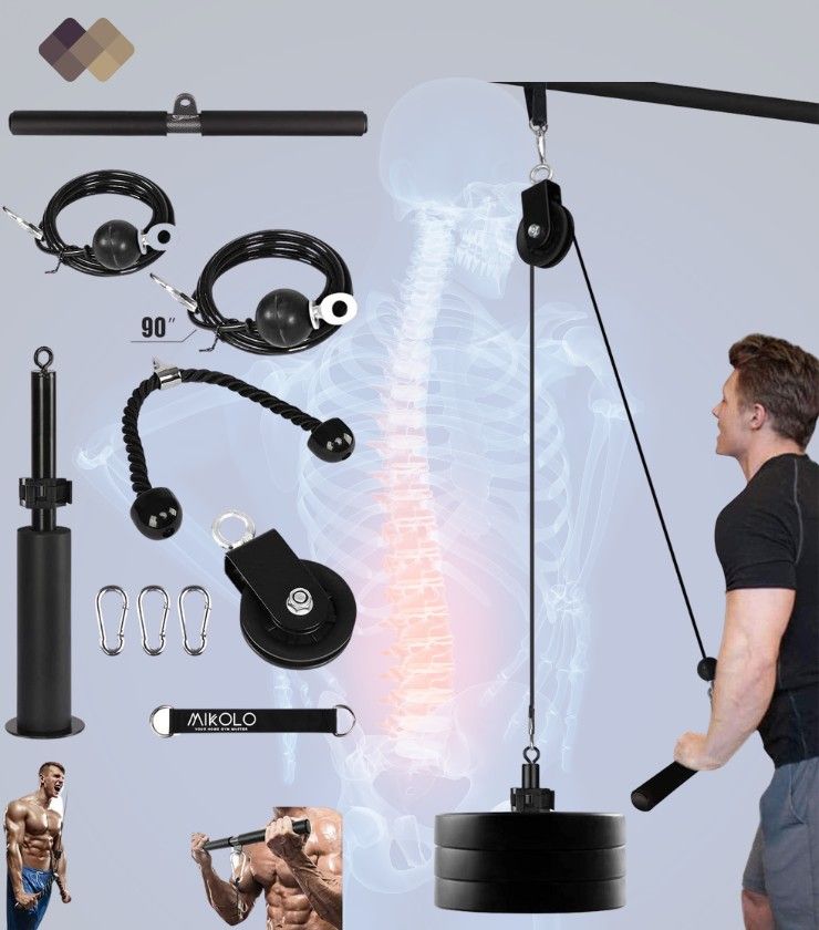 5 Best Back Exercise Machines Wish You Knew Before