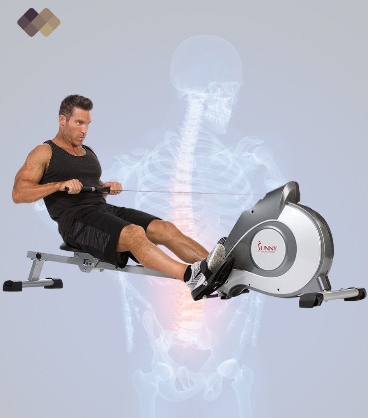 5 Best Back Exercise Machines Wish You Knew Before