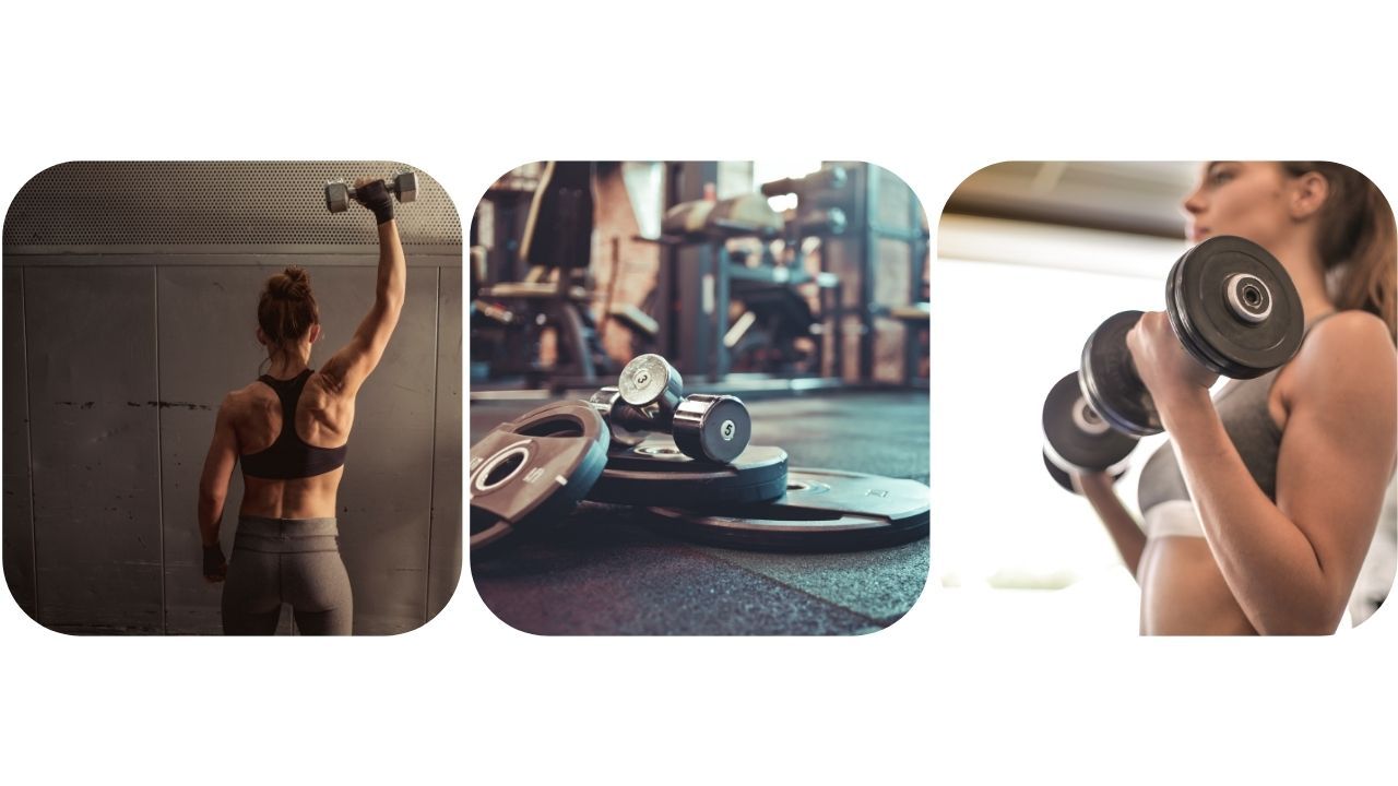 10 Reasons Why Adjustable Weights are the Future of Workouts and Here's ...