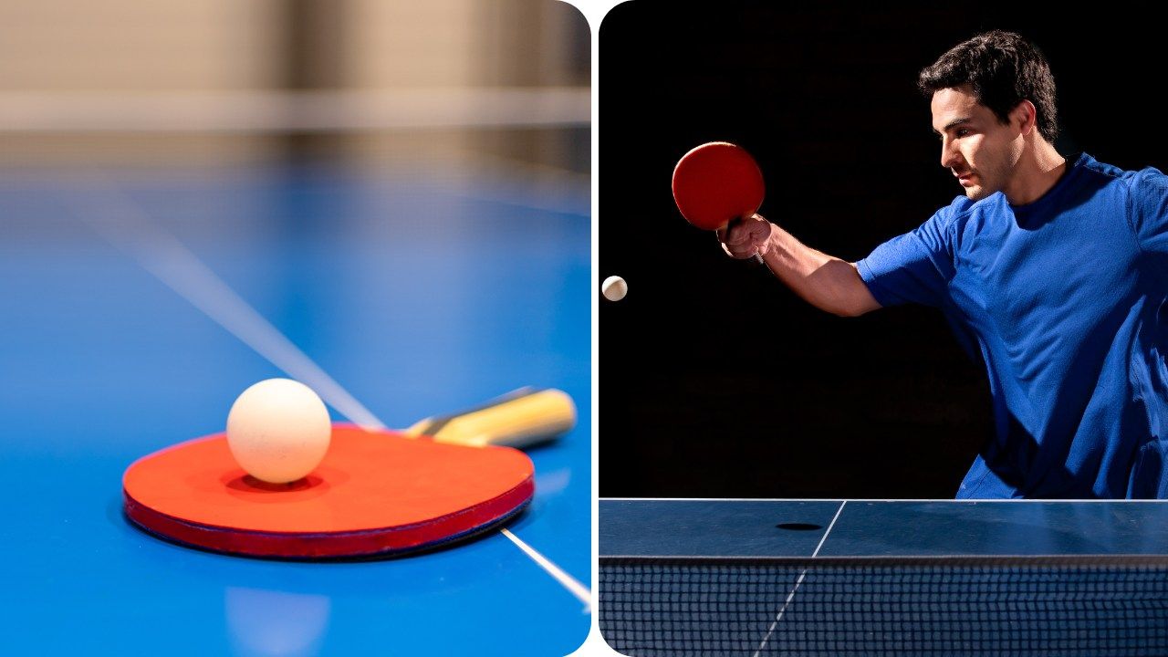 What's The Difference Between Ping Pong and Tennis Table? What's The Difference Between Ping Pong and Tennis Table?