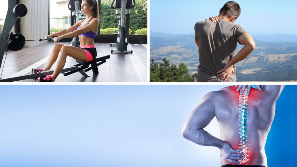 5 Best Back Exercise Machines Wish You Knew Before
